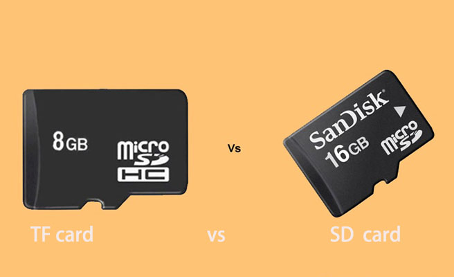 TF Card vs SD Card: Key Differences You Need to Know - Tinydeals TF Card vs SD Card: Key Differences You Need to Know - Tinydeals